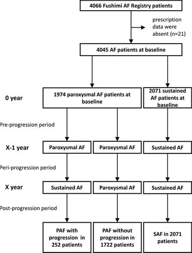Progression From Paroxysmal To Sustained Atrial Fibrillation Is