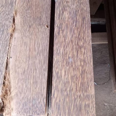 Is Coconut Wood The Most Sustainable Timber Nif Internasional