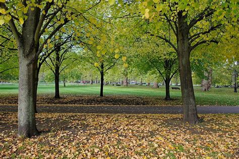 Autumn Takes Over In Londons Green Park 23 Photos Shot With The Ricoh