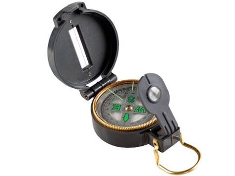 Compass Travelling Bee