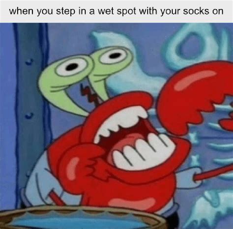 100 Mr Krabs Memes To Prove Robots Have Taken Over The Navy Fandomspot