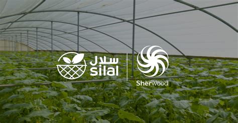 Salmeen Al Ameri On Linkedin Silal 24 Comments