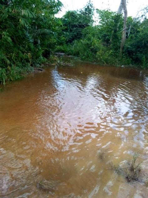 Bb Appel Moi Pour Ton Plaisir San Pédro