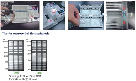 Mini Submerge Axis Shield Density Gradient Media