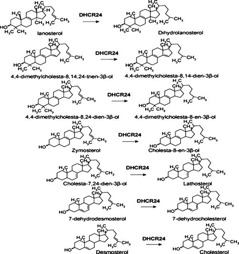 Alzheimers Disease Brain Desmosterol Levels Pmc