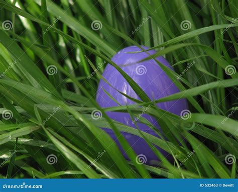 Easter Egg In Grass Stock Image Image Of Plastic Spring 532463