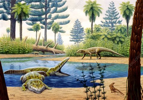 Triassic Landscape