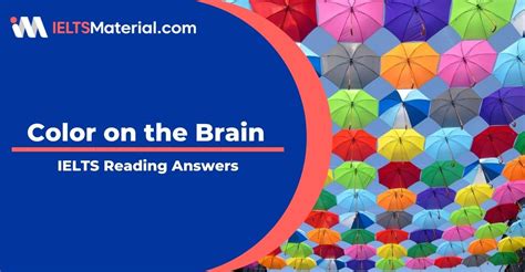Color On The Brain Ielts Reading Answer