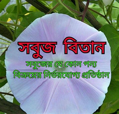 সবুজ বিতান