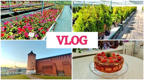 VLOG: ПОЕЗДКА В САДОВЫЙ ЦЕНТР🌹КЛУБНИЧНЫЙ ТОРТ🍰КОЛОМЕНСКИЙ КРЕМЛЬ🏰 ...