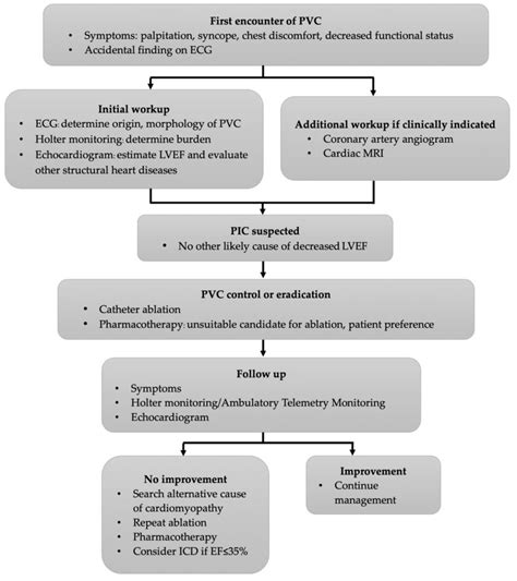Flow Chart Suggesting Evaluation And Management Of Patients With Pvc