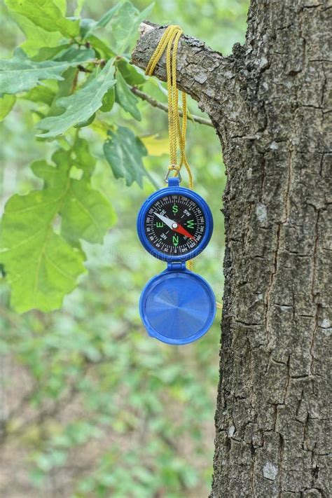 One Open Blue Plastic Compass Hangs On A Yellow Cord On A Gray Branch