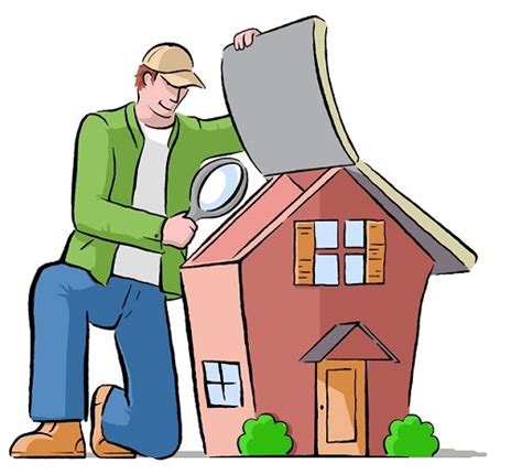 Home Inspection Cartoon • Perth Pest Control