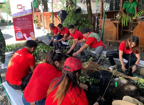 Million Trees Foundation Million Trees Foundation Inc