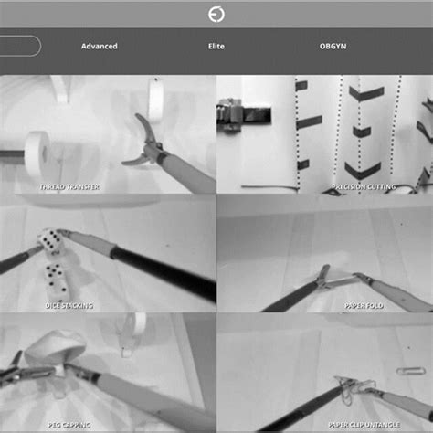 E An Infographic Summary Showing The Place Of Ilp Within The Wider