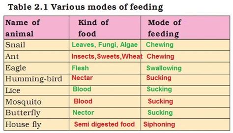 Table 2 1 Various Modes Of Feeding Begin{array}{l} Text { Name Of } Tex