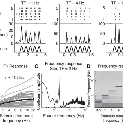 Temporal Modulation Of Cortical Neurons With Optogenetic Sinusoidal