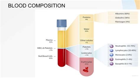 Hemogram Slides To Help With Health Care Pptx