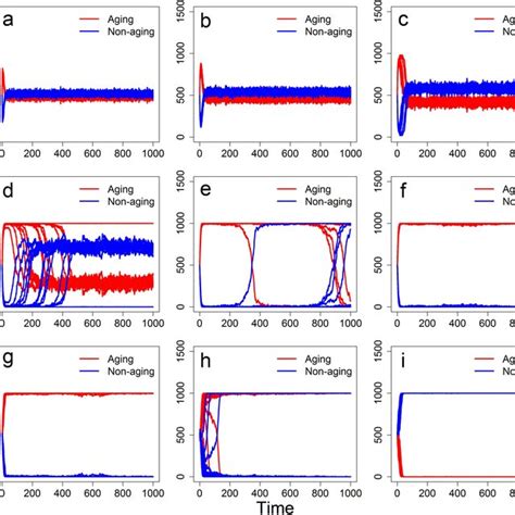Representation Of The Aging And Non Aging Phenotypes In The Two Sex