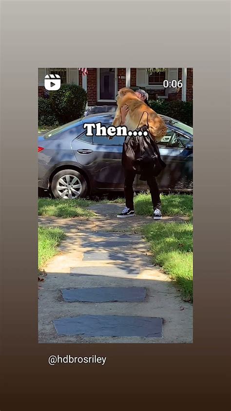 우리는 가족 🩵💚🧡 Youtube