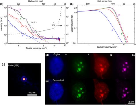 Deconvolution Of Fluorescence Images Using The Reconstructed X Ray