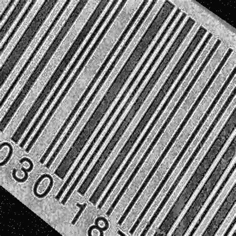 Packagebarcodeadvanced Instance Segmentation Dataset And Pre Trained Model By Jians