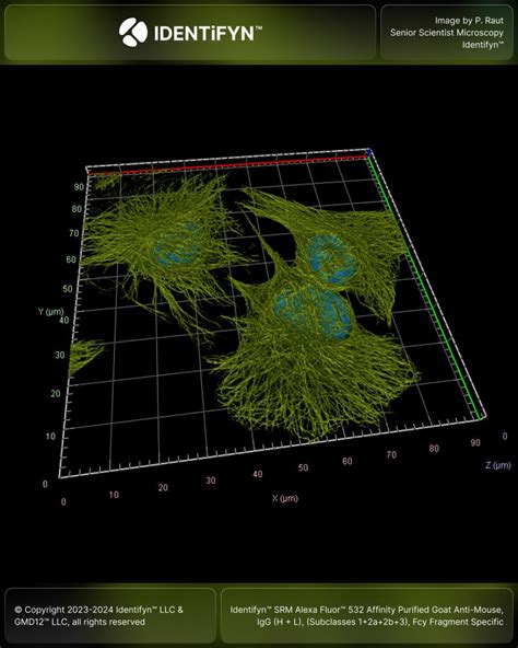 Identifyn™ Llc On Linkedin Microscopy Superresolutionmicroscopy