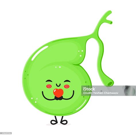 Gallbladder Holding A Heart In Hands Character Stock Illustration Download Image Now Anatomy