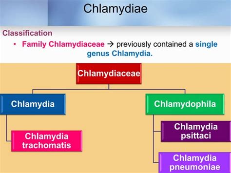 Chlamydia Ppt Biological Sciences Science