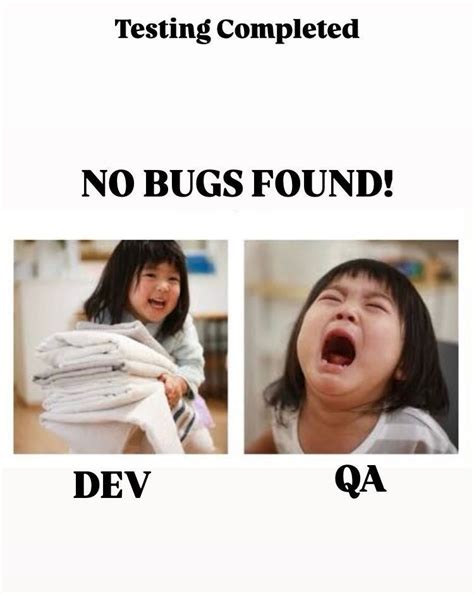 Yana Didichenko On Linkedin Bugs Testing Qa Tester Work Job Development Memes