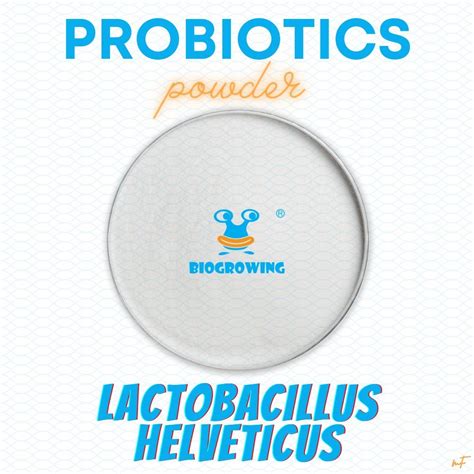 Pro Grade Lactobacillus Helveticus Lh G51 Probiotics Powder
