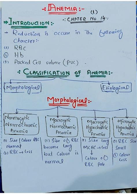 Solution Physiology Lecture Notes Anemia And There Types Studypool