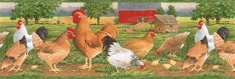 Countrychicken Farmrooster Wallpaper Border Afr7107 Country