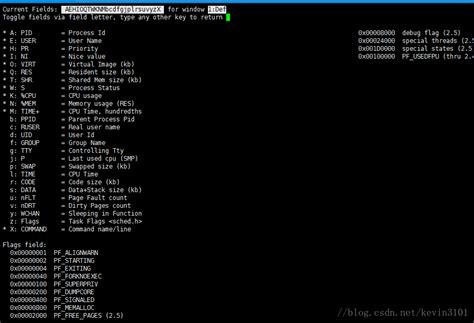 Top命令详解 Csdn博客