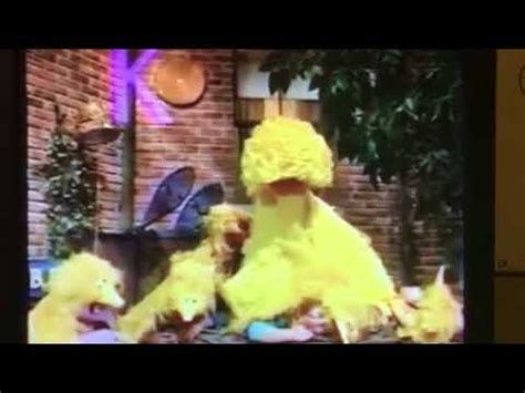Big Bird And The Birdketeers Sleeping In Episode 3797 For Christina