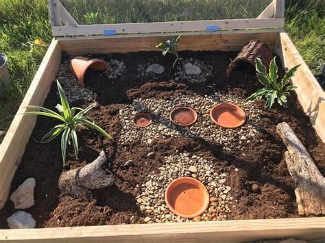 20 Diy Ideas For An Outdoor Turtle Habitat Turtle Paradise The