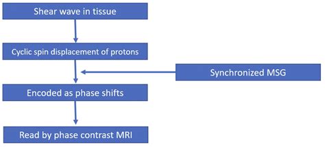 Flow Diagram Showing Principles Of Mr Elastography Mr Magnetic