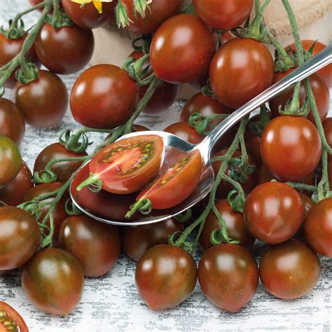 Tomato Seeds Chocolate Sprinkles Shopping Flowers Vegetables And