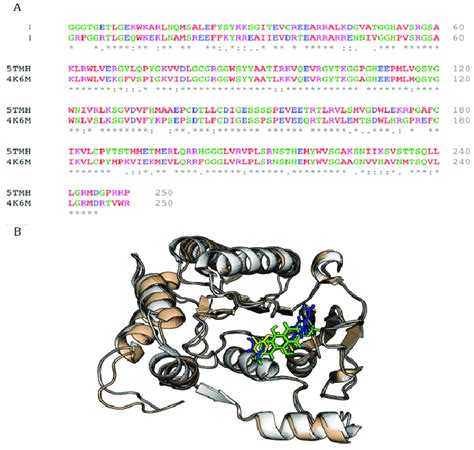Sequence And Structural Alignments Of Mt Domains Of Ns5 Proteins Of