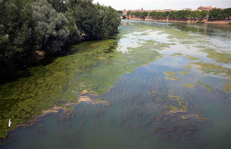 What You Need To Know About Nitrogen Pollution Pursuit By The