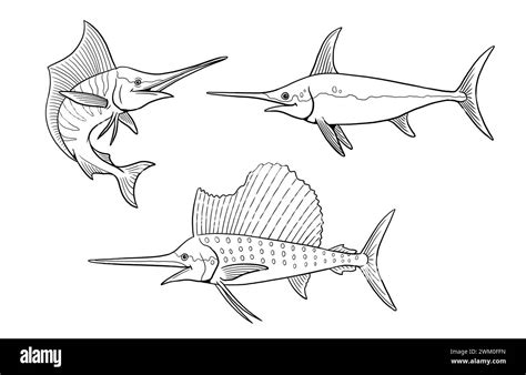 Coloring Pages Of Blue Marlins 2025