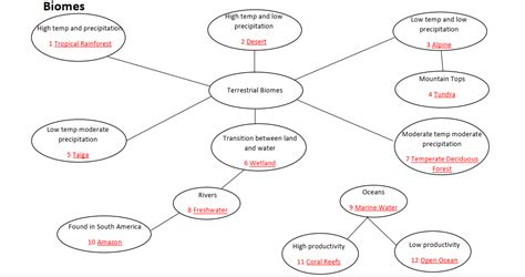 Solved Biomes Concept Map A Amazon B Open Ocean C Tundra D Marine