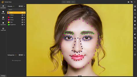Image Point Annotation The Ultimate Guide