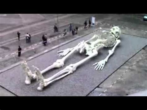Giant Humans Of The Past Real Skeleton Of A Giant Giant Skeleton