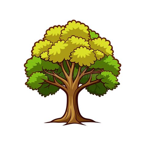 English Elm Tree Graphic Stock Illustrations 6 English Elm Tree