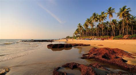 Goa India Dailyforest