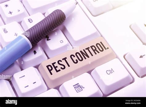 Writing Displaying Text Pest Control Internet Concept Killing