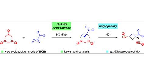 Stereocontrolled Synthesis Of Cyclobutylamines Enabled By Lewis Acid