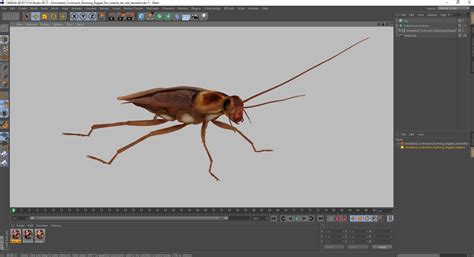 Animated Cockroach Running Rigged For Cinema 4d 3d Model 149 C4d