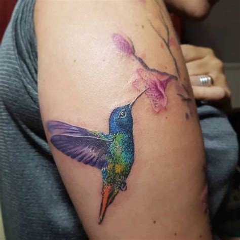 Tatuajes De Colibri Diseños Hermosos Del Tatuaje Del Colibrí En El